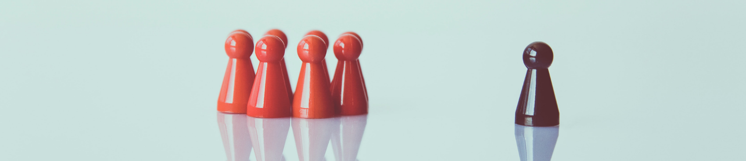 The Evolution of the MSS Section: New Vice Co-Chairs and New Name