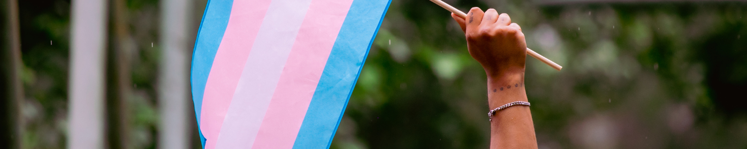 Advancing Excellence in Transgender Health: An International ...