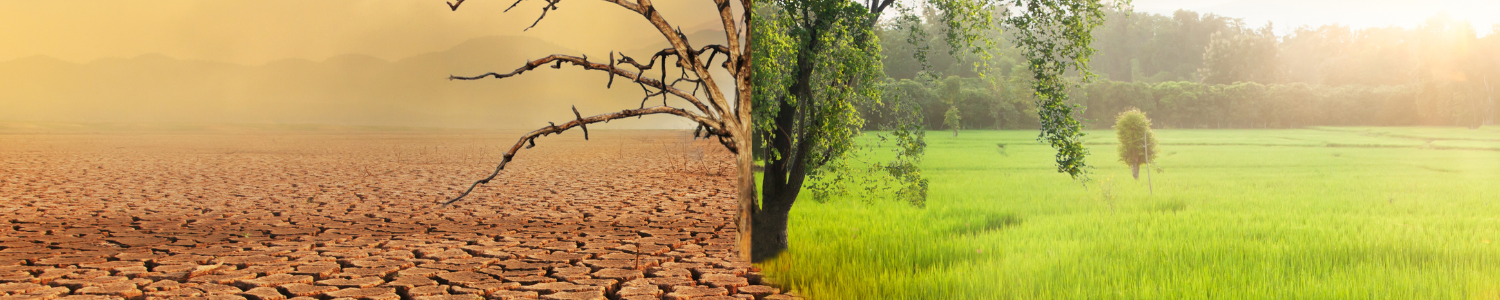 Nursing Climate Resources for Health Education (N-CRHE): Advancing ...